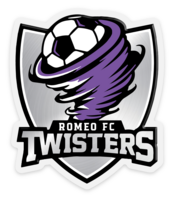 Twisters Sticker – DETROIT DECAL & APPAREL CO.